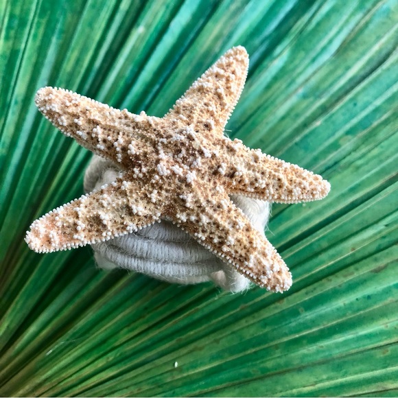 Accents | Nwt 6 Woven White Bumpy Sugar Starfish Napkin Ring Holders ...